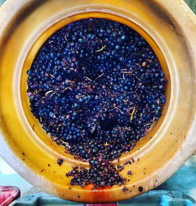 lachat_grapevat - Frenchvineyard.co.uk - accommodation on vineyards in ...